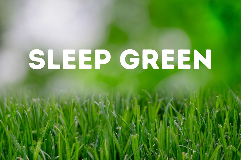 Eco-Friendly Sleep: Sustainable Choices for Your Sleep Environment ...